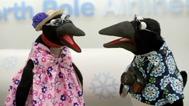 A Muppets Christmas: Letters to Santa | Muppet Wiki | Fandom