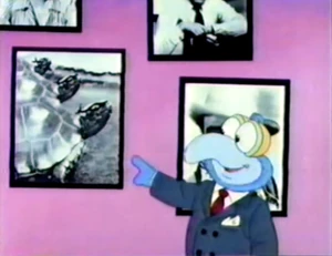 Teenage Mutant Ninja Turtles | Muppet Wiki | Fandom