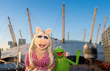 Live Muppet stage shows | Muppet Wiki | Fandom