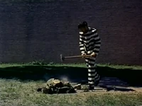 Prisons | Muppet Wiki | Fandom