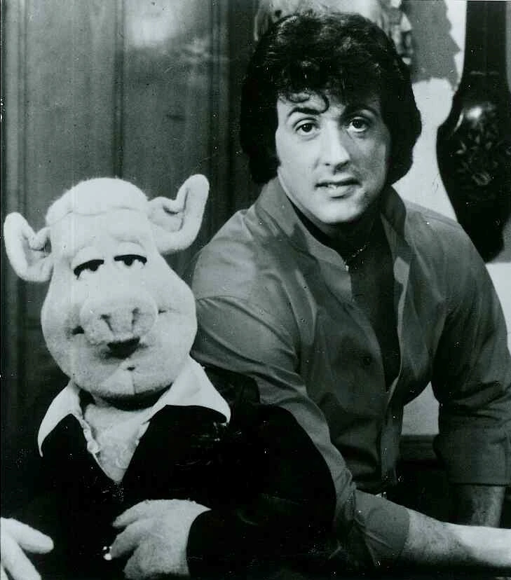 Sylvester Stallone | Muppet Wiki | Fandom