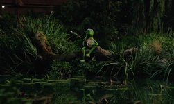 Kermit's homes | Muppet Wiki | Fandom