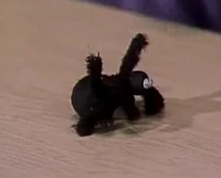 Spiders | Muppet Wiki | Fandom