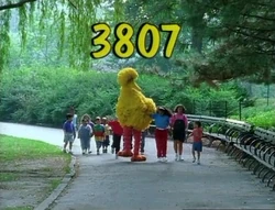 Episode 3807 | Muppet Wiki | Fandom