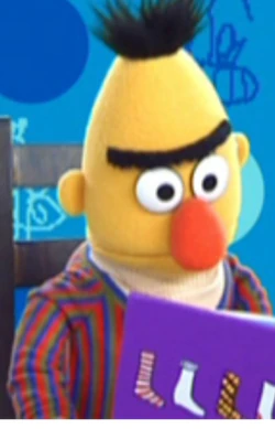 Unibrow Bert