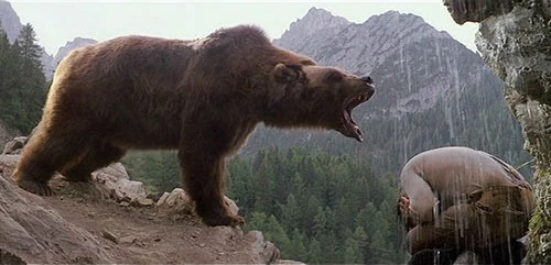 Bart the Bear | Muppet Wiki | Fandom