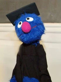 Muppets in caps and gowns | Muppet Wiki | Fandom