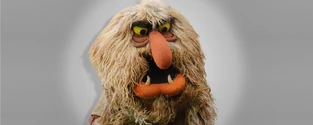 ABC.com character bios | Muppet Wiki | Fandom