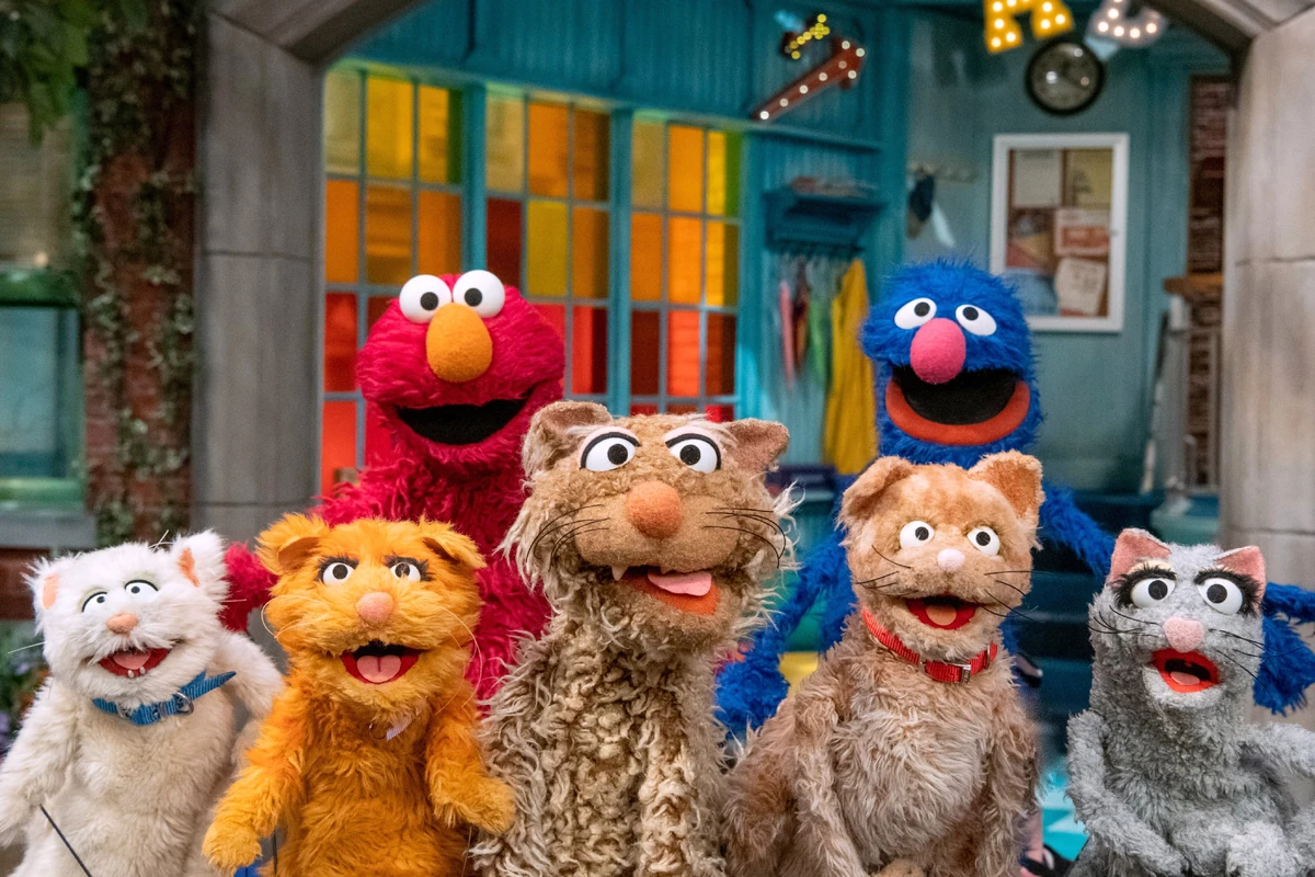 Episode 5320 | Muppet Wiki | Fandom