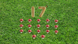 17 | Muppet Wiki | Fandom