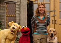 Episode 4307 | Muppet Wiki | Fandom