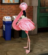 Fred (flamingo) | Muppet Wiki | Fandom