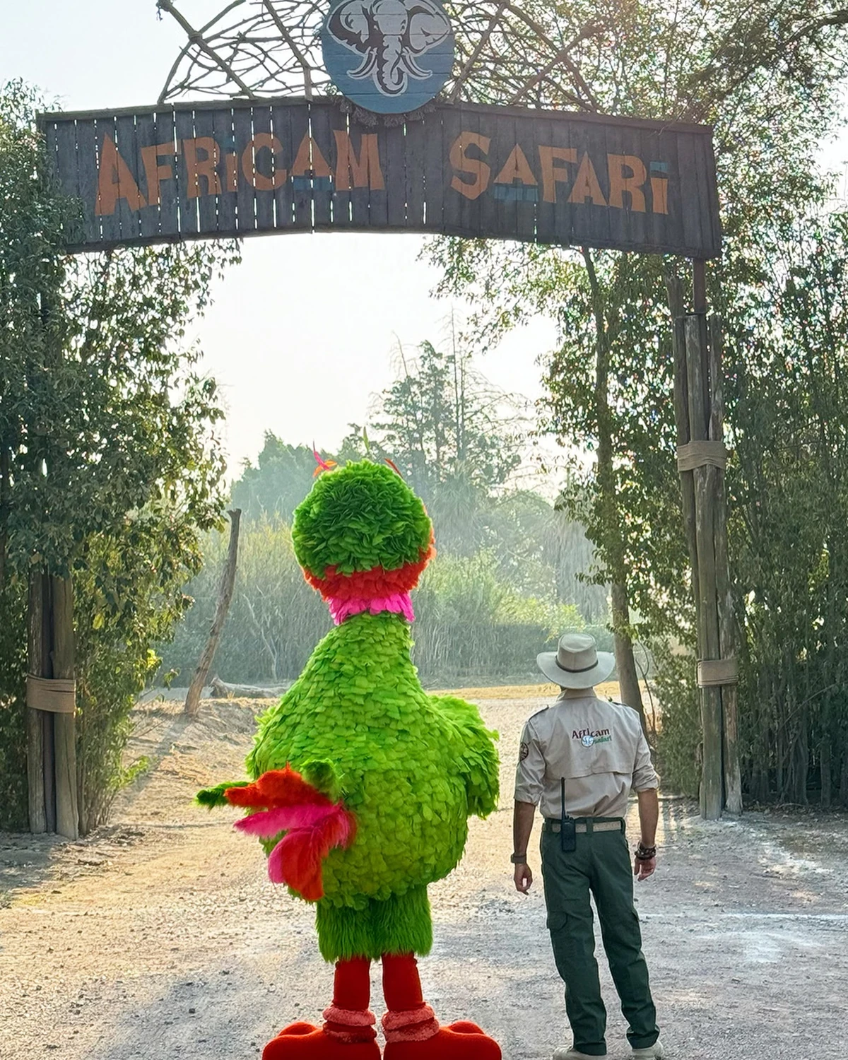 Africam Safari | Muppet Wiki | Fandom