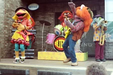 Muppets on Location: Days of Swine and Roses | Muppet Wiki | Fandom