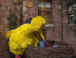 Episode 3884 | Muppet Wiki | Fandom