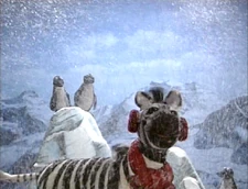 Zebras | Muppet Wiki | Fandom