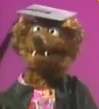 Muppets in caps and gowns | Muppet Wiki | Fandom