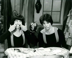 Episode 403: Shields & Yarnell | Muppet Wiki | Fandom