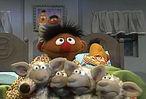 The Boogie-Woogie Sheep | Muppet Wiki | Fandom