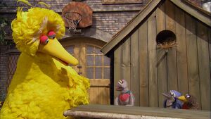 Season 42 (2011-2012) | Muppet Wiki | Fandom