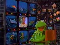 Episode 102: Oceans | Muppet Wiki | Fandom