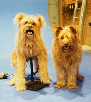 Jojo | Muppet Wiki | Fandom