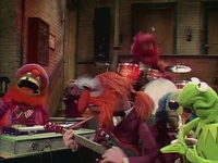 Kermit scrunch | Muppet Wiki | Fandom