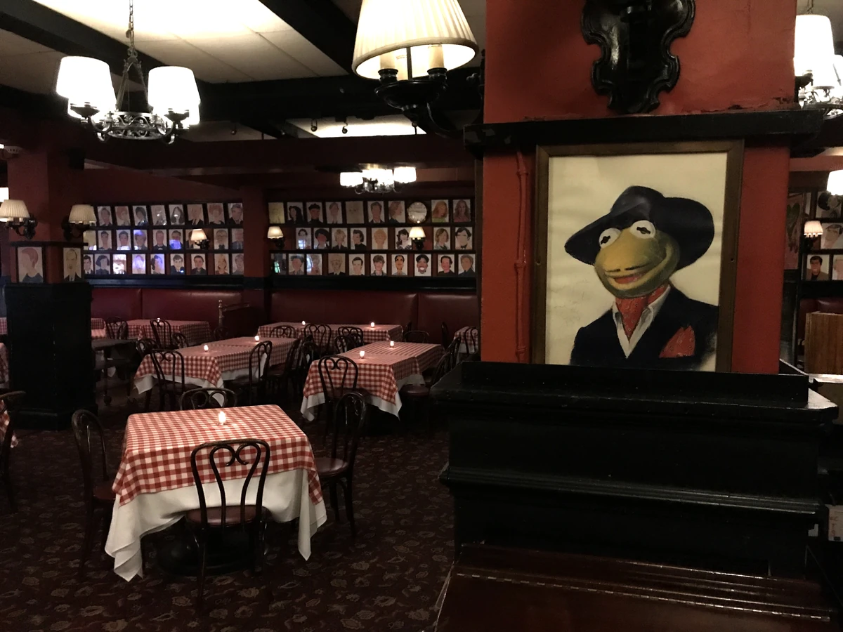 Kermit's Caricature | Muppet Wiki | Fandom