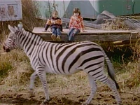 Z | Muppet Wiki | Fandom