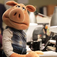 Up Late with Miss Piggy | Muppet Wiki | Fandom