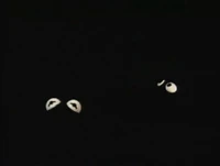 Eyes in the dark | Muppet Wiki | Fandom