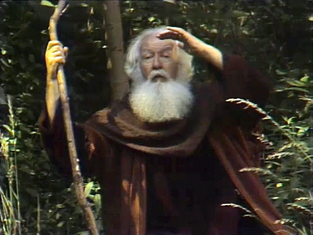 Kermit the Hermit (human) | Muppet Wiki | Fandom