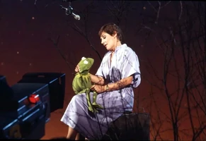 Episode 313: Helen Reddy | Muppet Wiki | Fandom