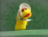 Worms | Muppet Wiki | Fandom