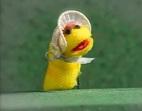 Worms | Muppet Wiki | Fandom