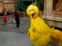 Christine Ferraro cameos | Muppet Wiki | Fandom