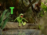 Kermit's Sesame Street songs | Muppet Wiki | Fandom