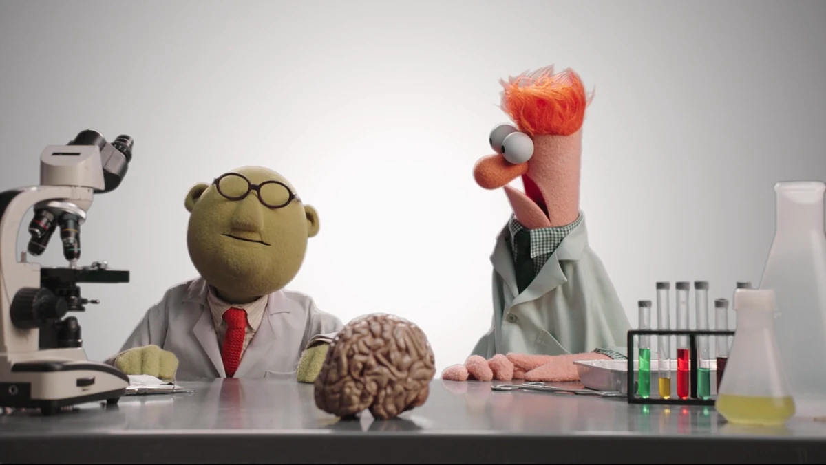 Brain Games | Muppet Wiki | Fandom