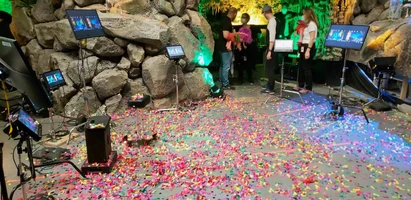 Episode 114: Night of the Lights | Muppet Wiki | Fandom