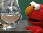 Elmo's goldfish | Muppet Wiki | Fandom