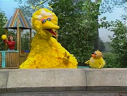 Episode 3436 | Muppet Wiki | Fandom