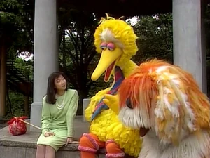 Big Bird in Japan | Muppet Wiki | Fandom