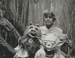 Yoda | Muppet Wiki | Fandom