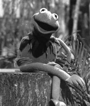 When did Kermit become a frog? | Muppet Wiki | Fandom