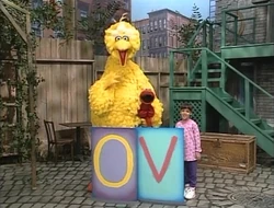 Episode 3169 | Muppet Wiki | Fandom