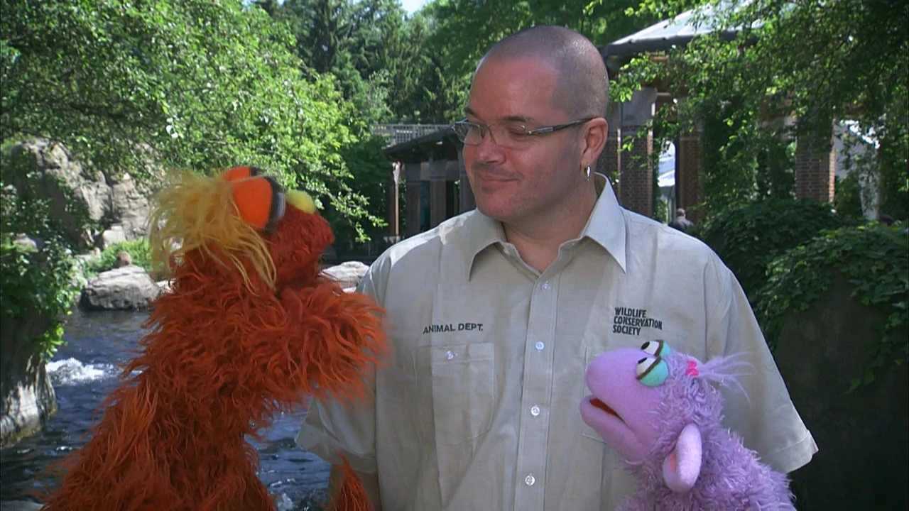 The People in Your Neighborhood (segment) | Muppet Wiki | Fandom