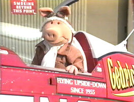 Aircraft pilots | Muppet Wiki | Fandom