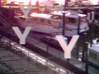 Y | Muppet Wiki | Fandom