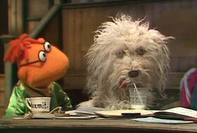 Muppy | Muppet Wiki | Fandom