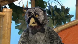 Sandbox:Bambaloo characters | Muppet Wiki | Fandom